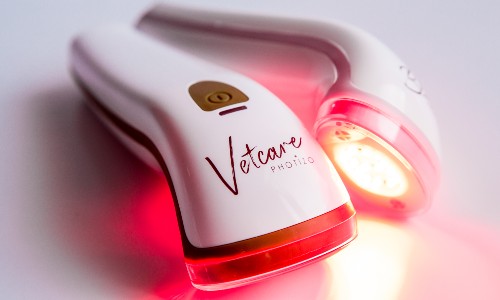 Best Red-Light Therapy For Dogs at Home | Health and Care