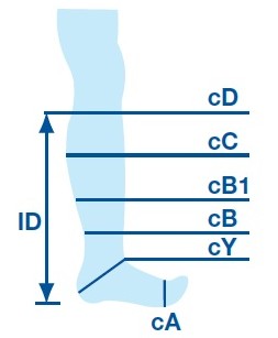 JOBST For Men Explore Compression RAL Class 1 | Health and Care