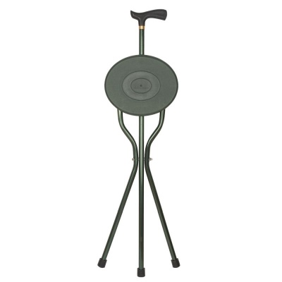 Green Economy Folding Walking Stick Seat | Health and Care