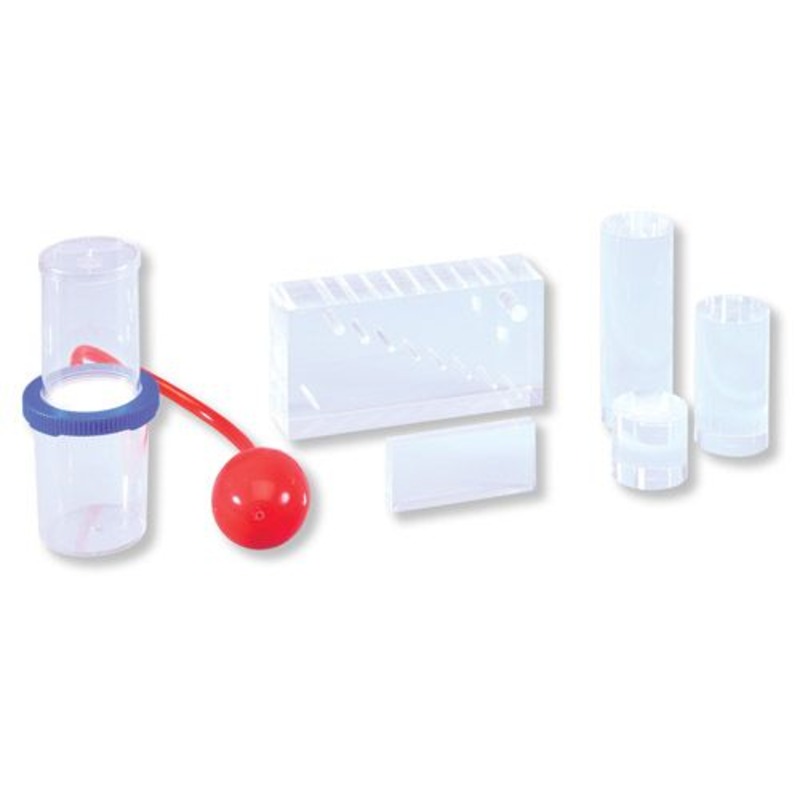 3BS Double Vessel Rubber Heart Valve Model | Health and Care