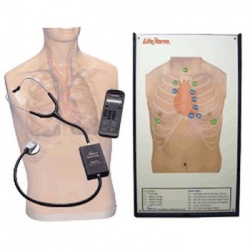 Auscultation Trainers | Health and Care