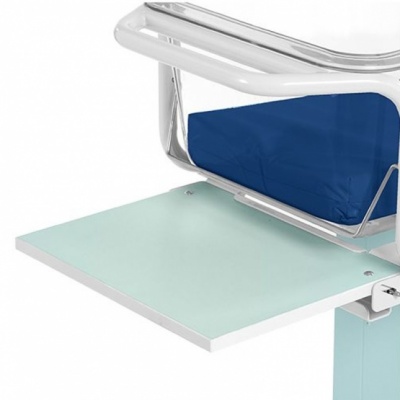 Bristol Maid Clear Hospital Baby Crib | Health and Care