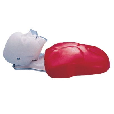 Life/Form Basic Sanitary CPR Dog Manikin | Health and Care