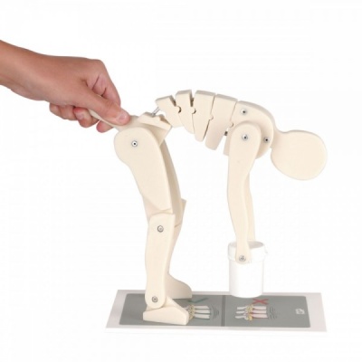 Manual Handling Training | Health and Care