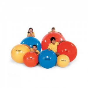 Rehab Therapy Balls & Ball Accessories | Health and Care