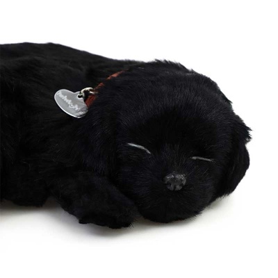 Precious Petzzz Labrador Battery Toy Dog | Health and Care