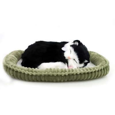 Precious Petzzz Black and White Cat | Health and Care