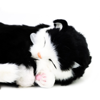 Precious Petzzz Black and White Cat | Health and Care