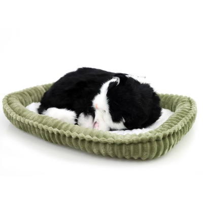 Precious Petzzz Black and White Cat | Health and Care