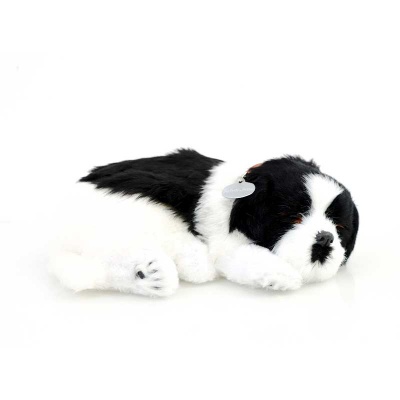 Precious Petzzz Border Collie Battery Dog | Health and Care