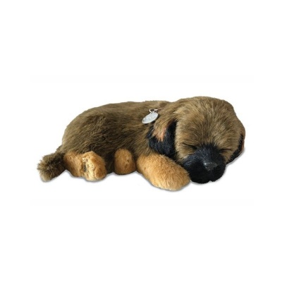 Precious Petzzz Beagle Battery Toy Dog | Health and Care