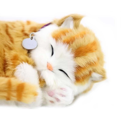 Precious Petzzz Ginger Tabby Battery Cat | Health and Care