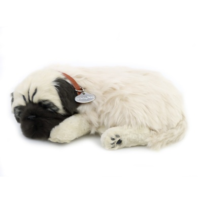 Precious Petzzz Pug Battery Operated Dog | Health and Care