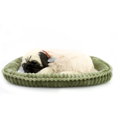 Precious Petzzz Pug Battery Operated Dog | Health and Care