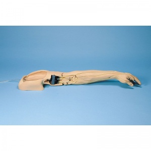 Training Arm for Intravenous Injection | Health and Care