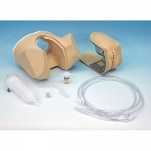 Catheterisation Trainers | Health and Care