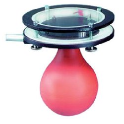 Shiunko Purple Cloud Cream | Health and Care