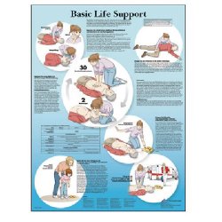 Basic Life Support Chart 1 | Health and Care