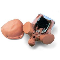 Noelle Maternal/Neonatal Birthing Simulator with PEDI Blue Neonate ...