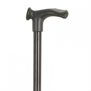 Black Walking Sticks | Health and Care