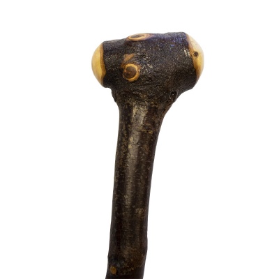 Blackthorn Irish Shillelagh | Health and Care
