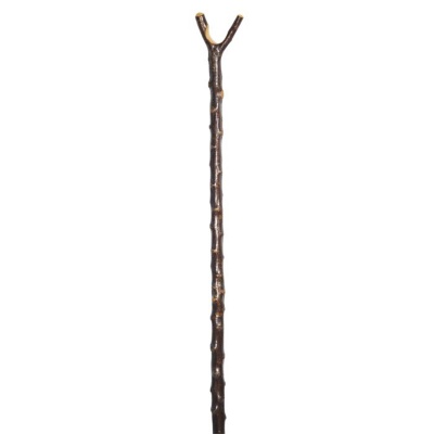 Blackthorn Walking Sticks | Health and Care