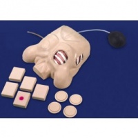 Adult Patient Care Manikins | Health and Care