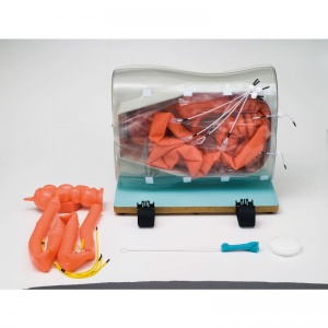 Injection Trainers | Health and Care