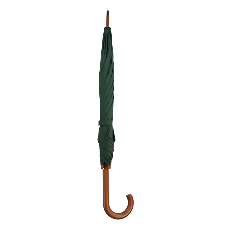 Classic Crook-Handle Large Green Umbrella | Health and Care