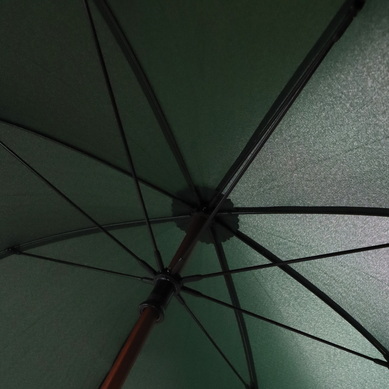 Classic Crook-Handle Large Green Umbrella | Health and Care