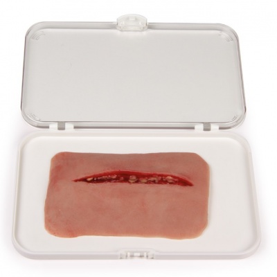 Erler-Zimmer Medical Simulators & Trainers | Health and Care