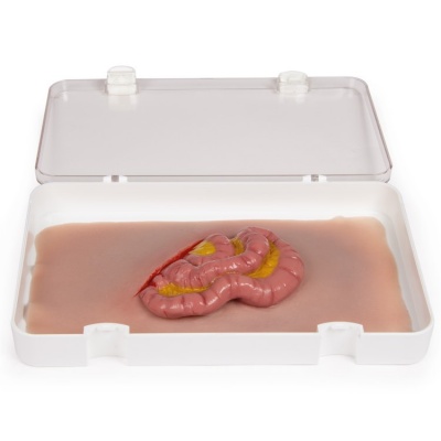 Moulage & Casualty Kits | Health and Care