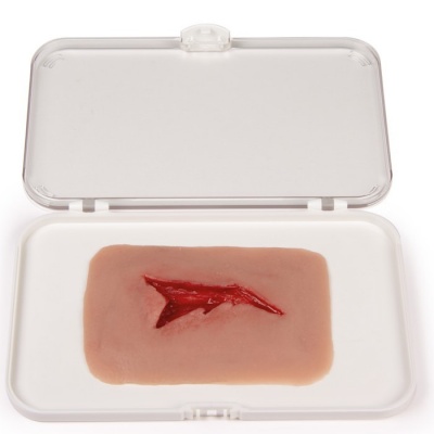 Erler-Zimmer Medical Simulators & Trainers | Health and Care