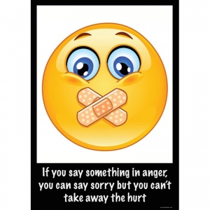 My Angry Face Consequences of Anger Posters (Set of 10) | Health and Care