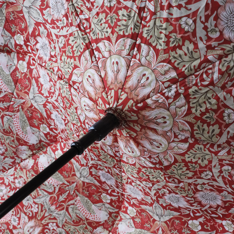 Fulton Morris Bloomsbury Walking Umbrella | Health and Care