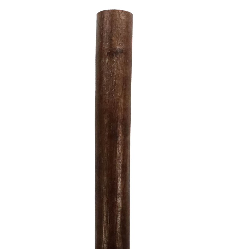 Walking Sticks Accessories | Health and Care