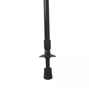 Height Adjustable Green Trekking Pole | Health and Care