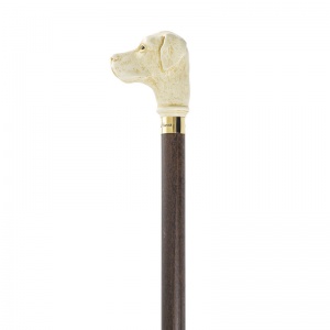 Imitation Ivory Labrador Hardwood Cane | Health and Care