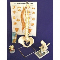 Intermediate Manual Handling Demo Kit | Health and Care