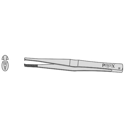 Lane Dissecting Forceps With 1 Into 2 Teeth (Lanes) 180mm Straight ...