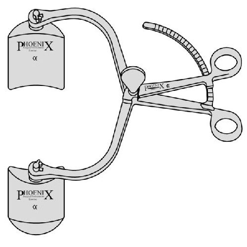 Pozzi Abdominal Retractor With Bivalve Swivel Blades 250mm | Health and ...