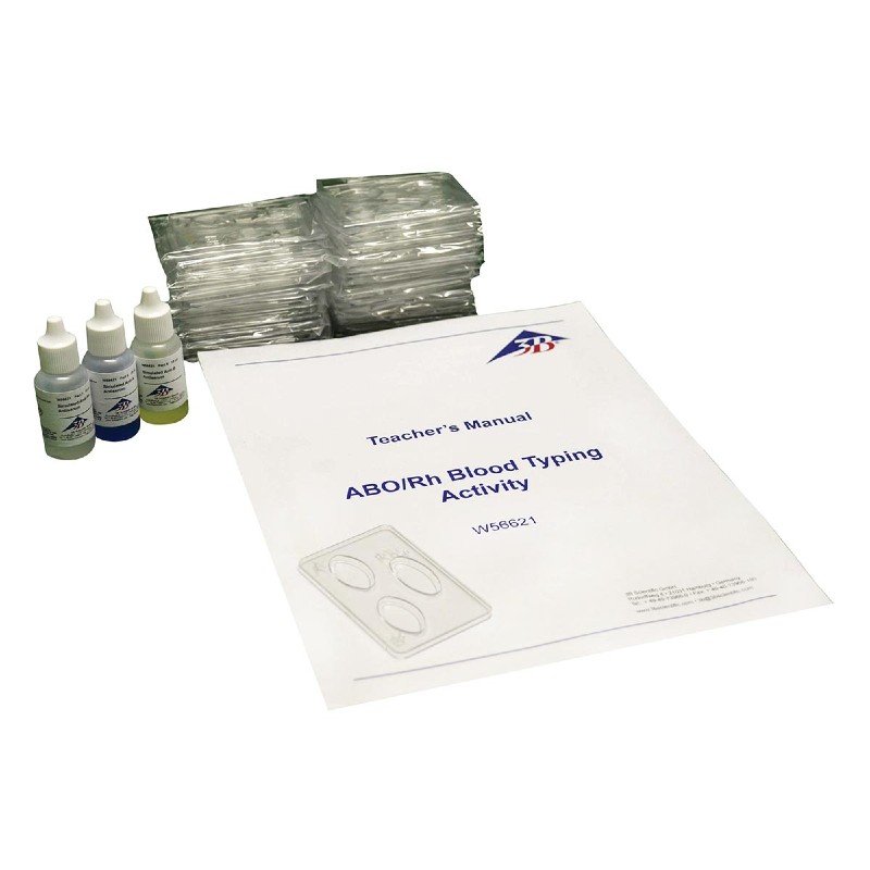 3B Scientific Blood Typing Simulation | Health and Care