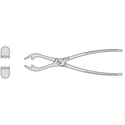 Fergusson Bone Holding Forceps With Screw Joint 150mm | Health and Care