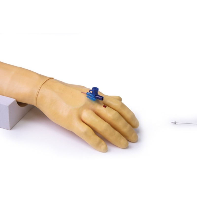 Intravenous Injection and Infusion Training Arm | Health and Care