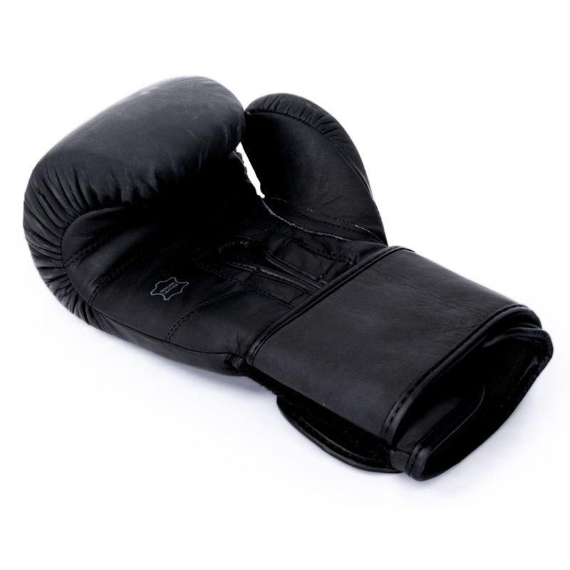 BBE Boxing UNIFY4 Leather Boxing Gloves | Health and Care