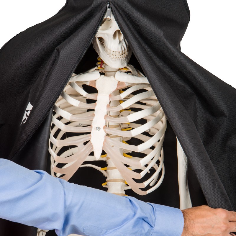Heavy-Duty Dust Cover For Skeleton Models | Health and Care
