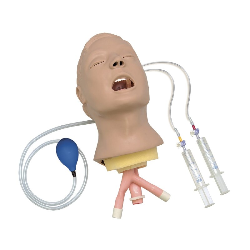 Lifeform Advanced Airway Trainer Head | Health and Care
