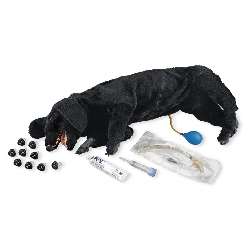 Life/Form Basic Sanitary CPR Dog Manikin | Health and Care