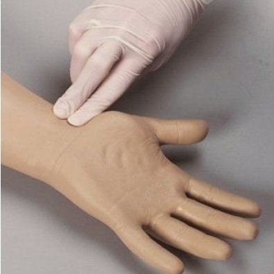 Life/Form Blood Pressure Simulator | Health and Care