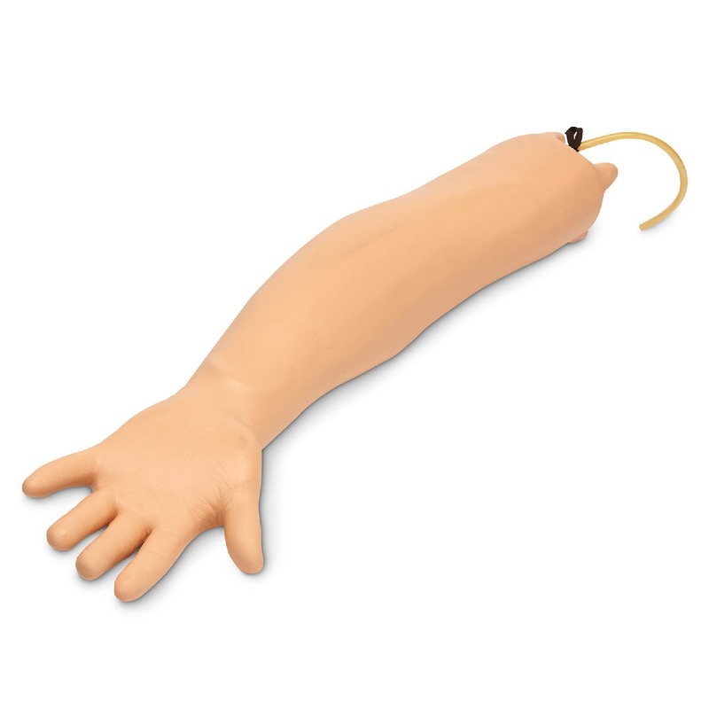 Life/Form Haemodialysis Practice Arm | Health and Care